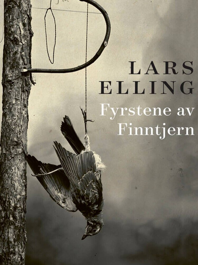 Fyrstene av Finntjern | Ullensvang bibliotek